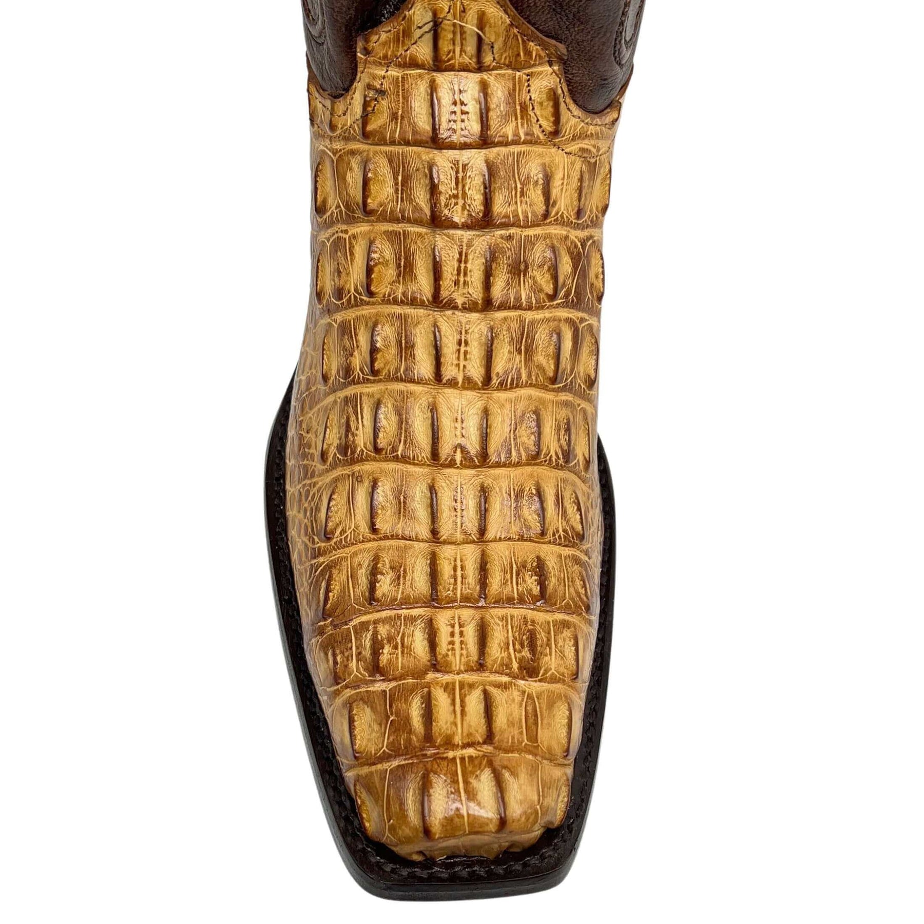 Men's University of Oklahoma Tan Hornback Alligator Boots | Vaccari