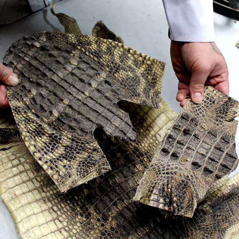 Men's Natural Hornback American Alligator Square Toe