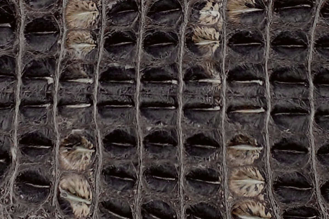Men's Natural American Alligator Cowboy Boots | Vaccari